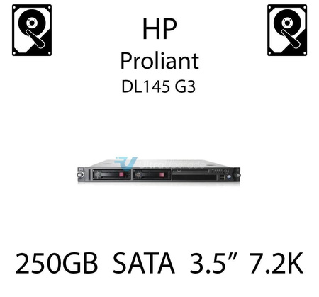 Dyski | Proliant DL145 G3 | HP
