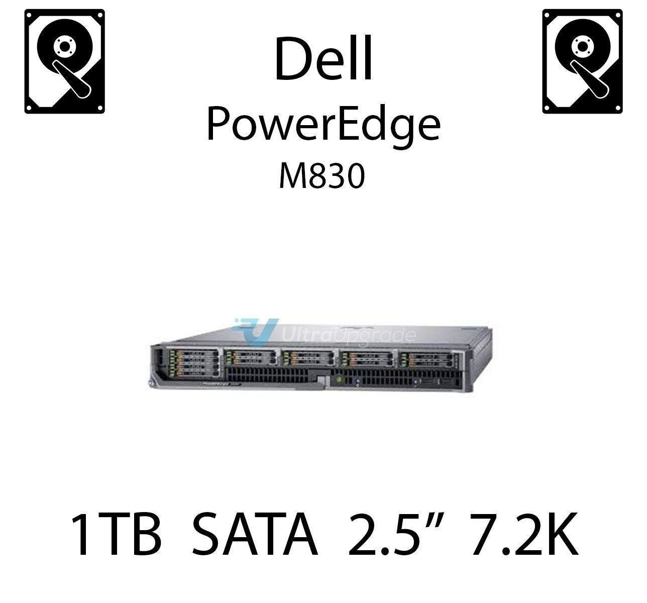 Dyski | PowerEdge M830 | Dell